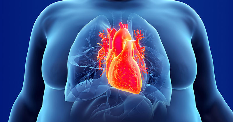 PeerView - The Cardiometabolic Crosstalk Curriculum: Considerations for ...