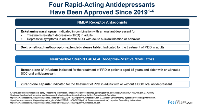 Realizing the Potential of Rapid-Acting Treatments for Depression: Key ...