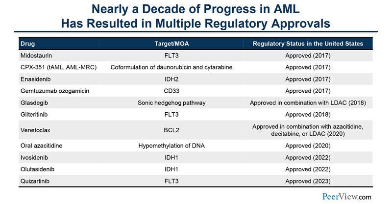 Achieving Next-Level Care in AML: Conversations on Targeted Platforms ...