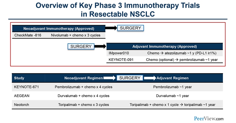 Unleashing the Potential of Perioperative Immunotherapy in Resectable ...