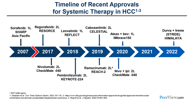 Calibrating Care Across the HCC Continuum: Guidance on Delivering ...